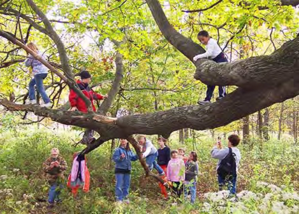 Nature Play Guidelines and Principles | Urban Landscape Collaborative, LLC